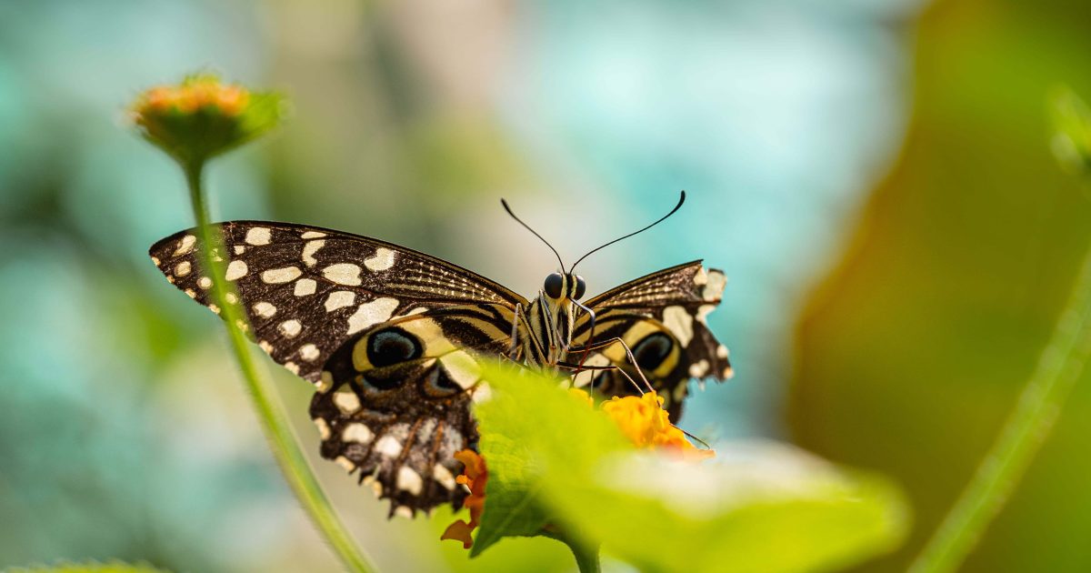 Money Matters - August 2023 Accounting… | BSR Bespoke Accountants